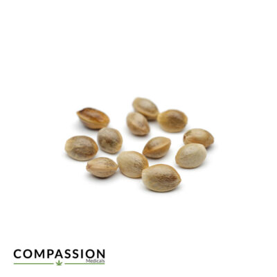 Black Kush Seeds - Compassion Medicals | 1-2 Hour Cannabis Delivery in ...